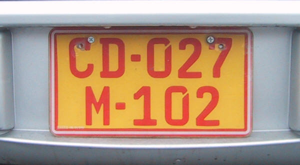 Top 30 license plates